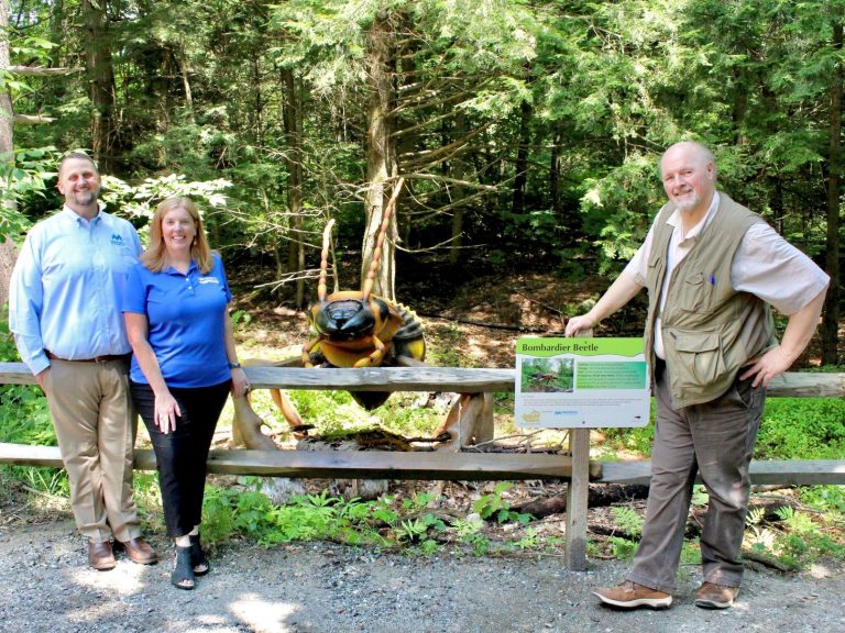 Meredith Village Savings Bank