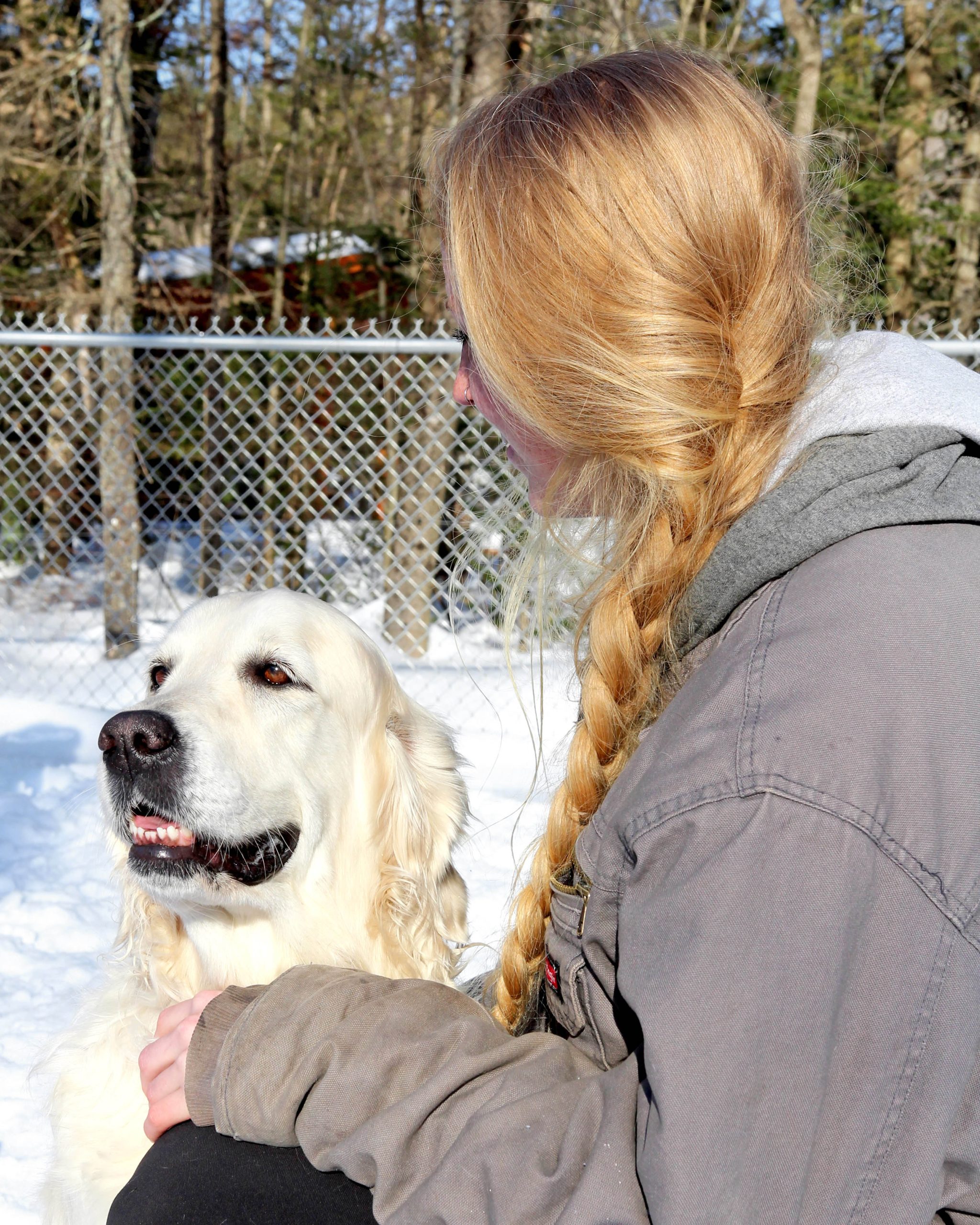 Four Paws Adds Second Doggie Daycare Location in Albany