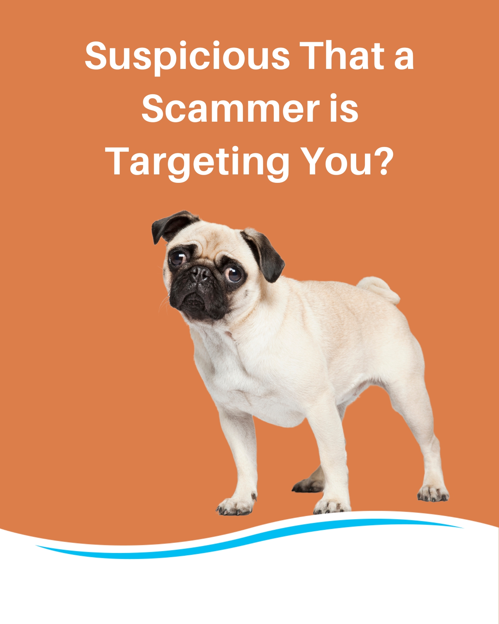 Suspicious That Something Could be Fraud? We Are Here to Help