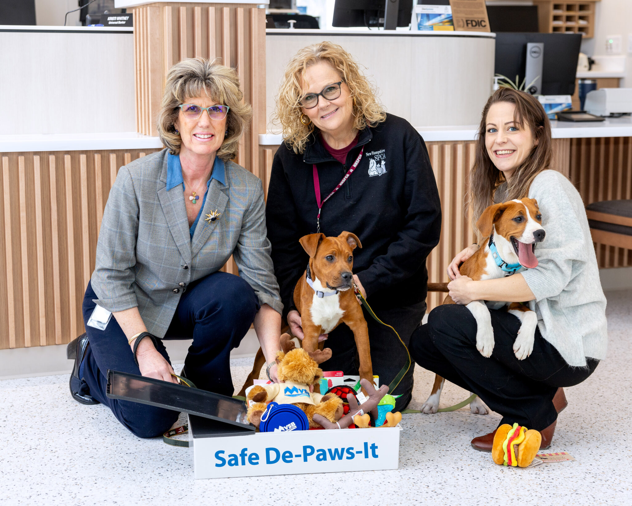 Pawsitively Protected: Introducing Safe De-Paws-It Boxes for Pups